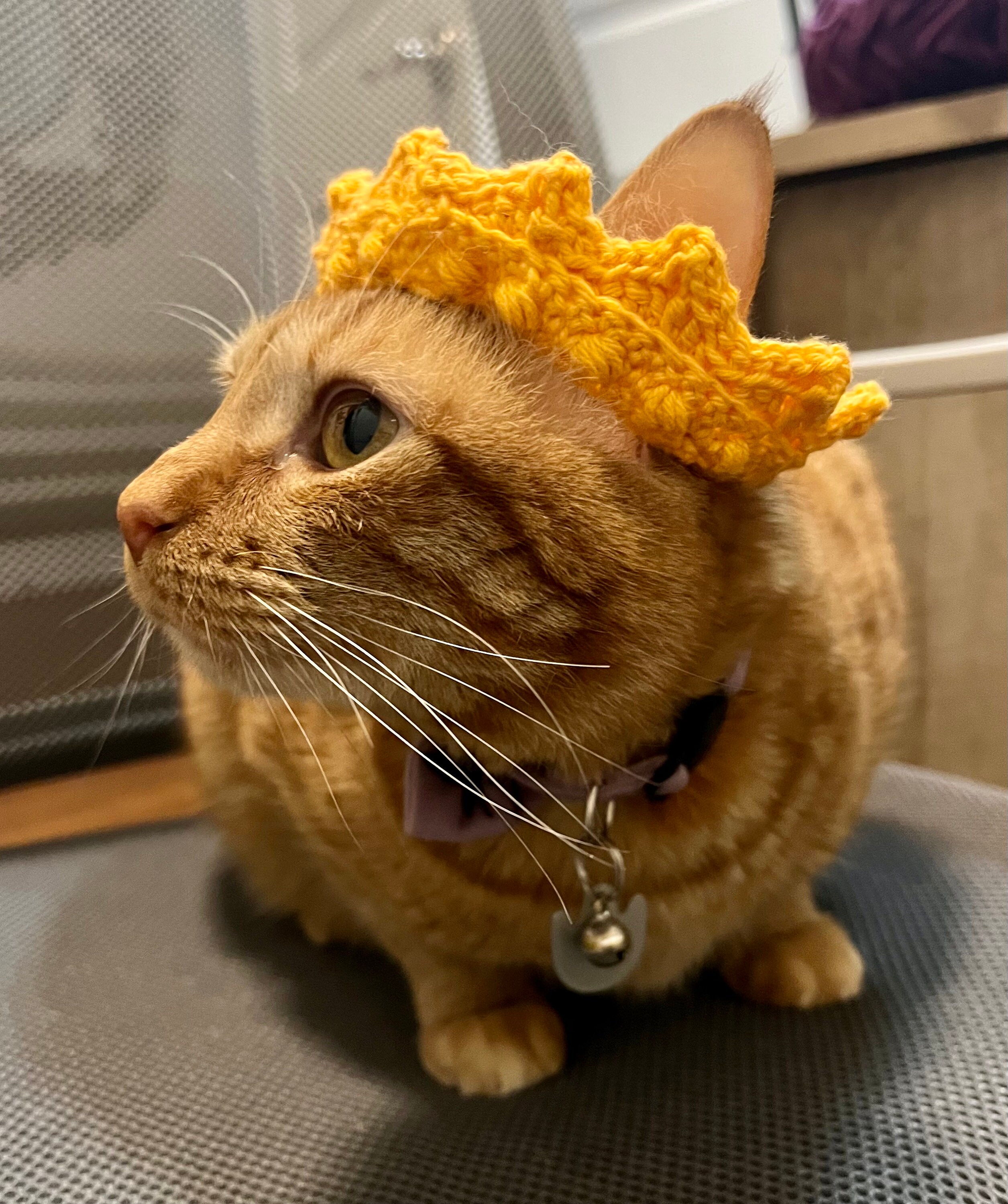 Cat Crown Cat Tiara Cat King or Queen Costume Crochet Crown - Etsy