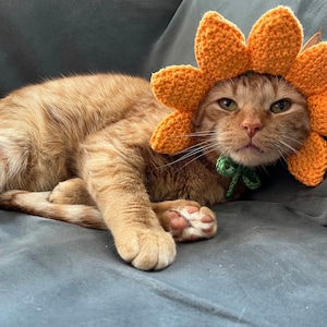 CROCHET PATTERN - Flower Cat Hat Crochet Pattern Digital PDF, Sunflower ...