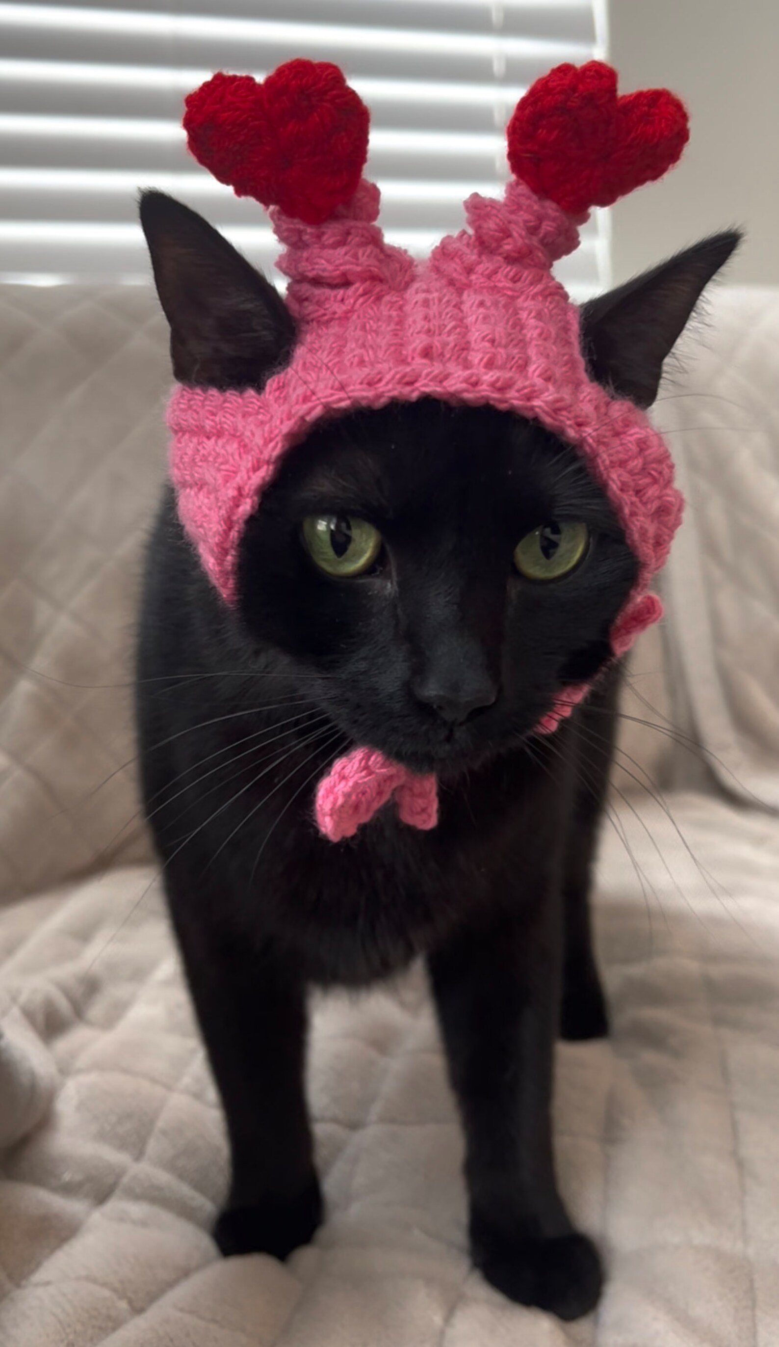 Heart Antenna Cat Hat Crochet Pattern (PDF Digital Download) - Etsy