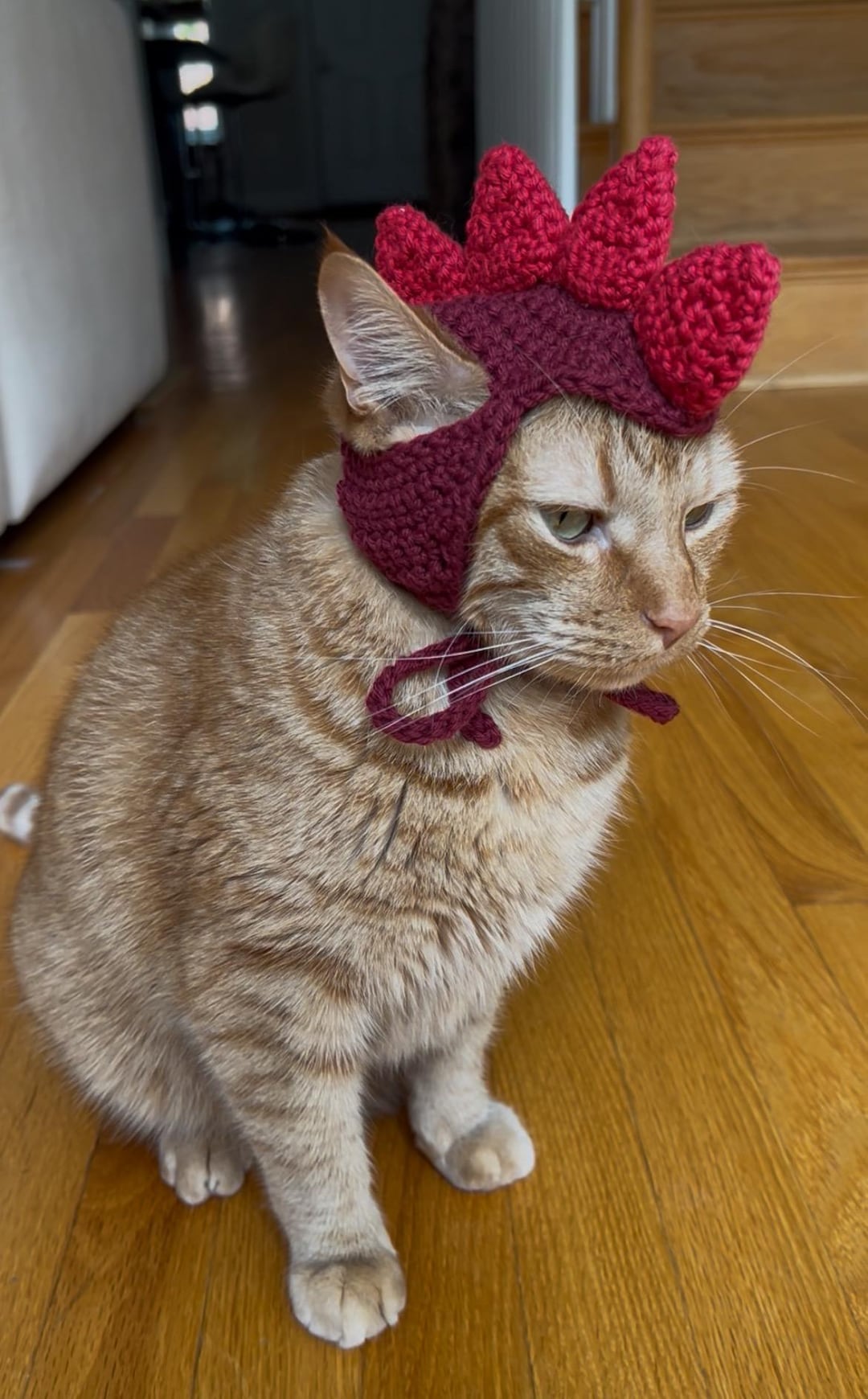 Dinosaur Cat Hat, Dinosaur Costume for Cats, Photo Prop for Cats, Hat ...