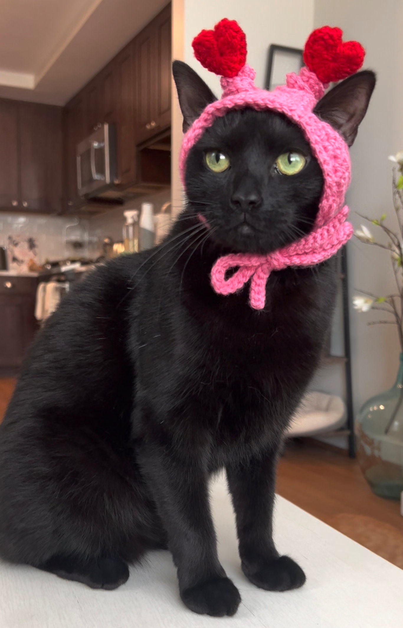 Heart Antenna Cat Hat Crochet Pattern (PDF Digital Download) - Etsy