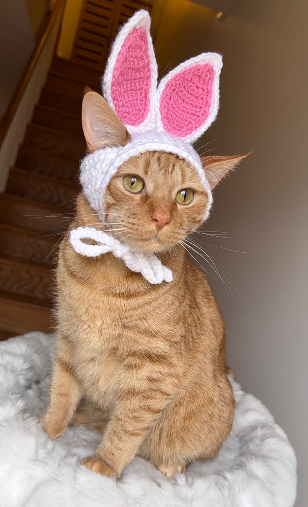 Bunny Ears for Cats, Easter Bunny Costume for Cats, Easter Cat, Cat ...