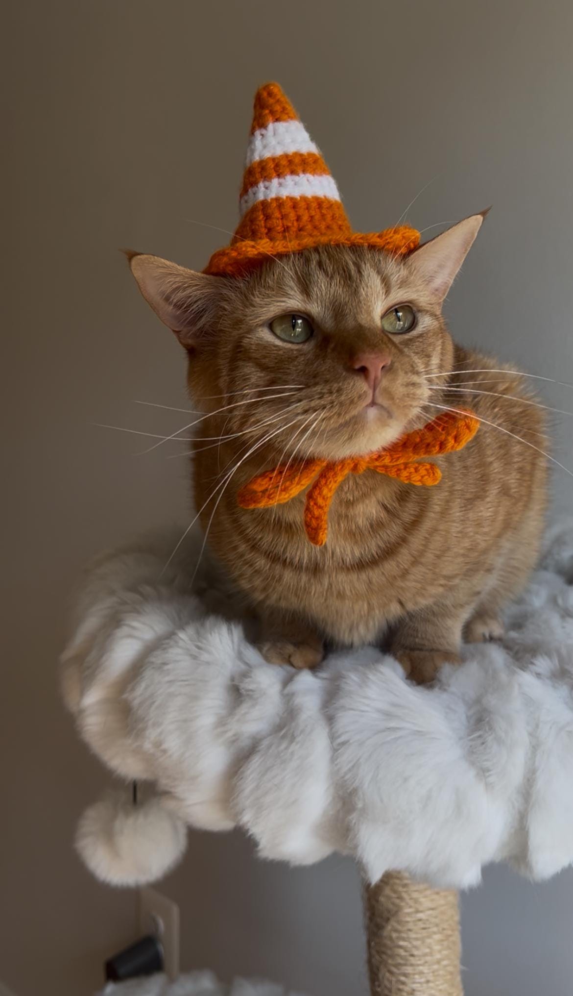 Traffic Cone Cat Hat Crochet Pattern: Beginner-friendly (PDF Digital ...