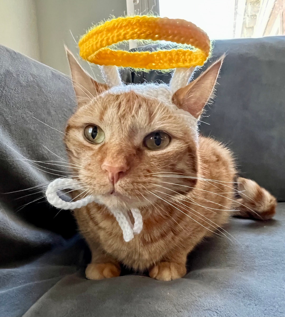 Angel Halo Cat Hat, Angel Cat Costume, Angel Hat for Pets - Etsy