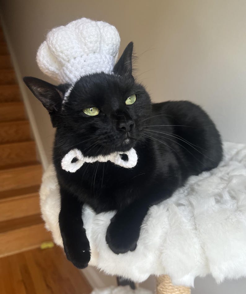 Crochet Chef Cat Hat Costume: Hand-crocheted Pet Toque - Etsy