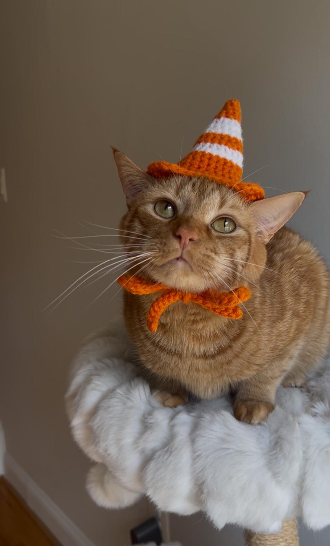 Crochet Traffic Cone Cat Hat: Pet Construction Costume - Etsy