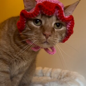 Heart Bucket Hat for Cats, Valentines Day Hat for Pets, Heart Cat Hat ...