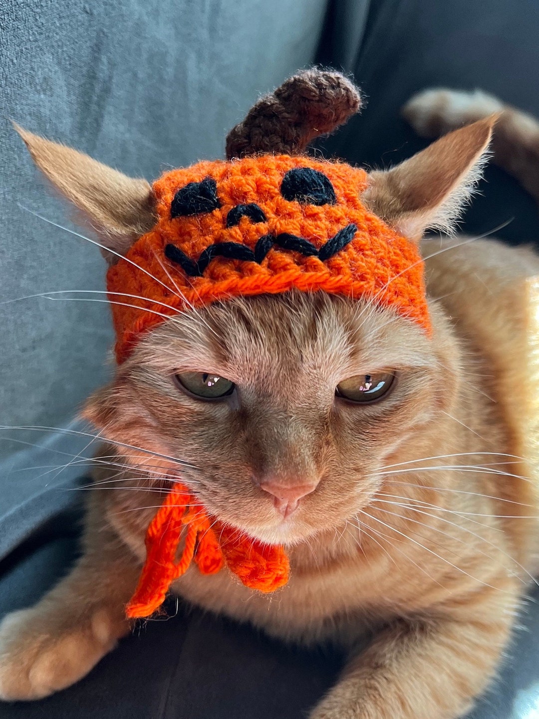Jack O’lantern Pumpkin Cat Hat, Crochet Halloween Hat for Pets, Crochet ...