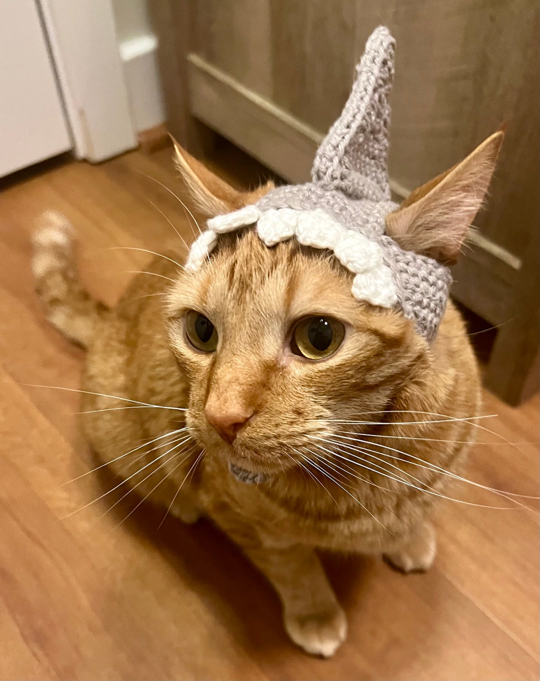 Shark Hat for Cats, Shark Costume for Cats, Great White Cat Hat ...
