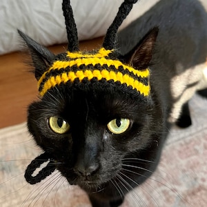 Bumblebee Cat Costume, Bumblebee Cat Hats, Honey Bee Hats for Pets, Bee ...