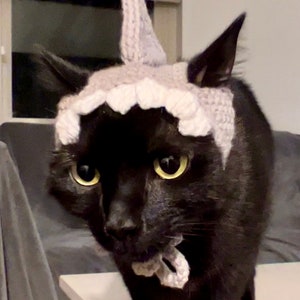 Shark Hat for Cats, Shark Costume for Cats, Great White Cat Hat ...