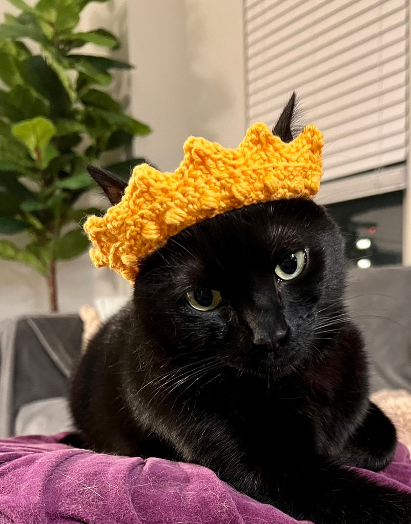 Cat Crown Cat Tiara Cat King or Queen Costume Crochet Crown - Etsy