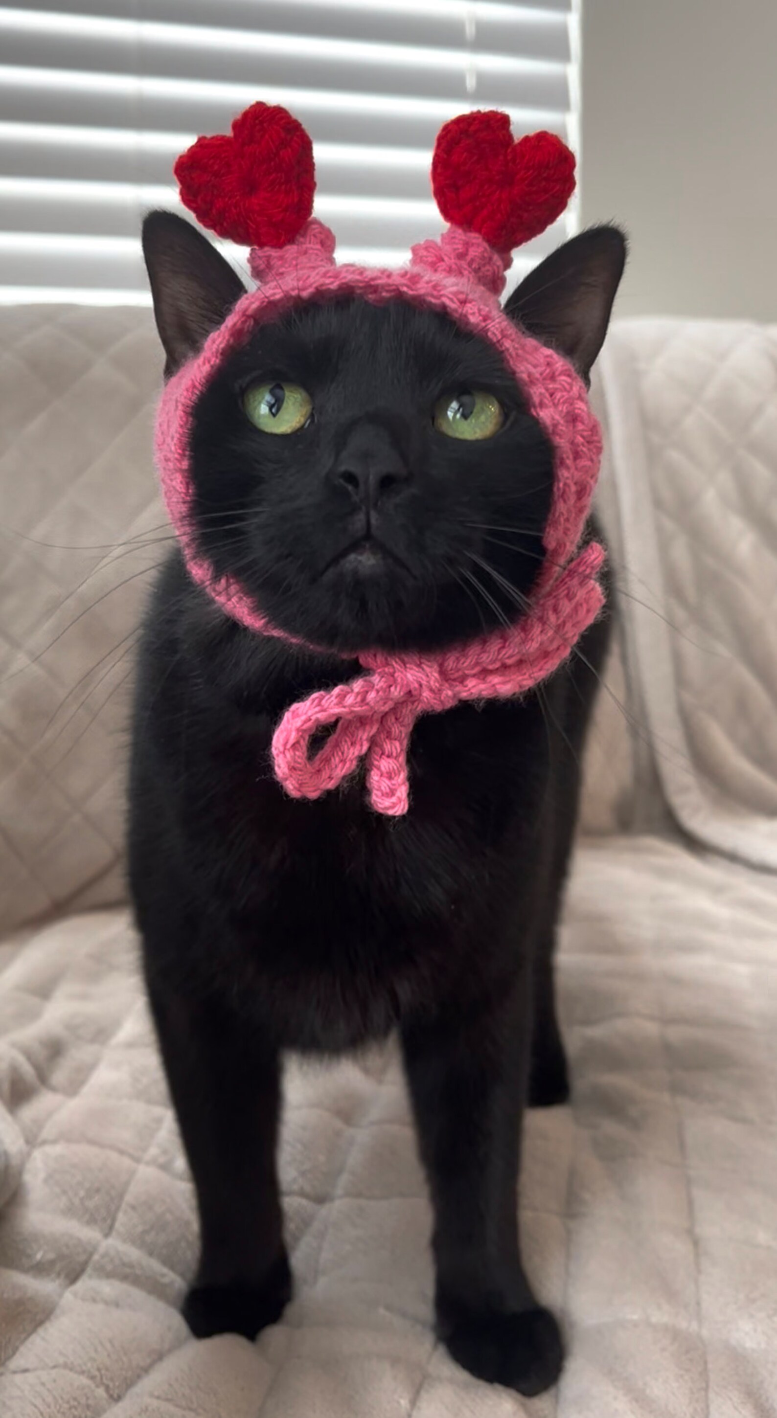 Heart Antenna Cat Hat Crochet Pattern (PDF Digital Download) - Etsy