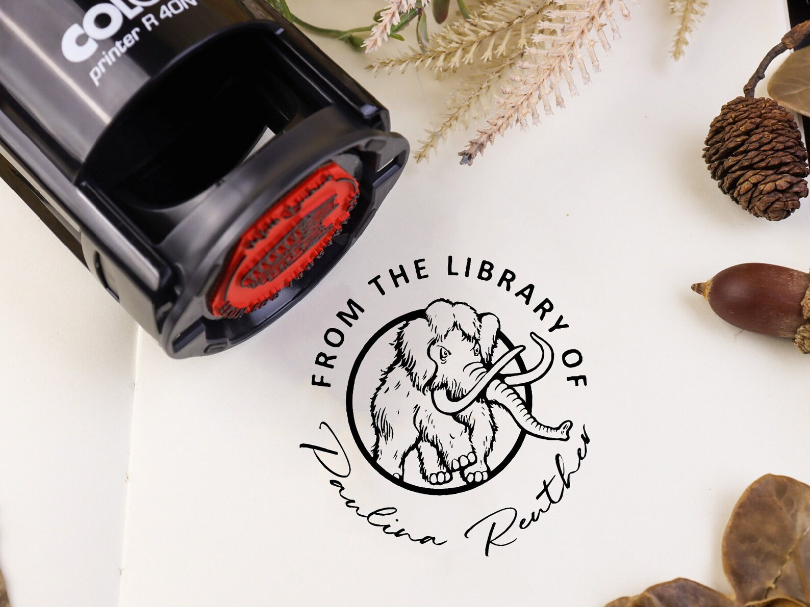 Personalized LIBRARY Stamp,custom Library Stamp, BOOK Stamp, Library of ...