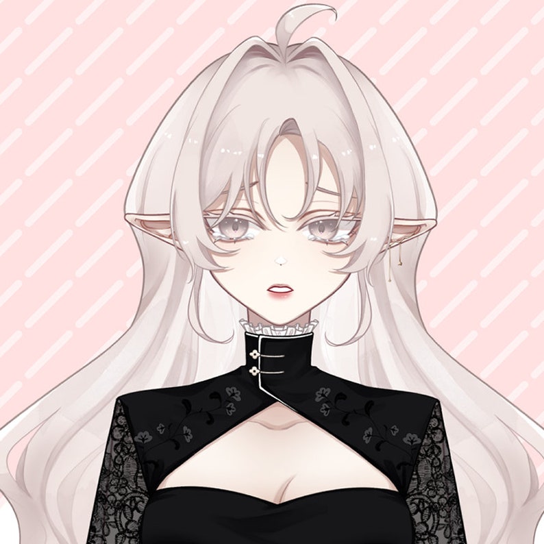 Female Vtuber Model | Live2d Rigged, Vtube Studio Ready, Color ...