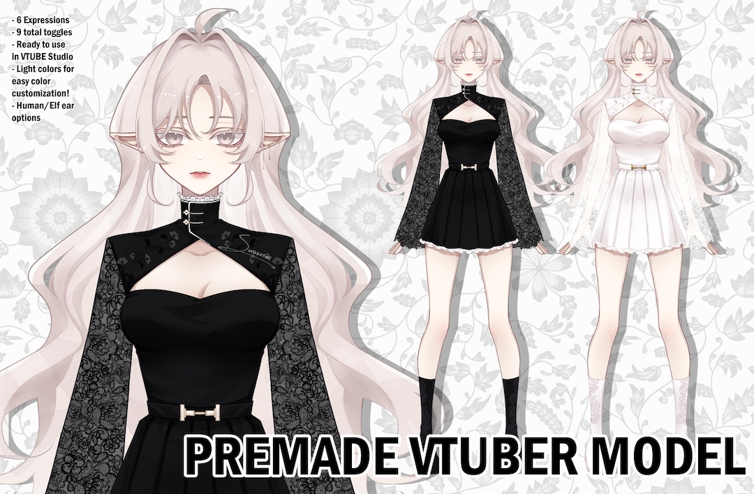 Female Vtuber Model | Live2d Rigged, Vtube Studio Ready, Color Customizable, Premade - Etsy