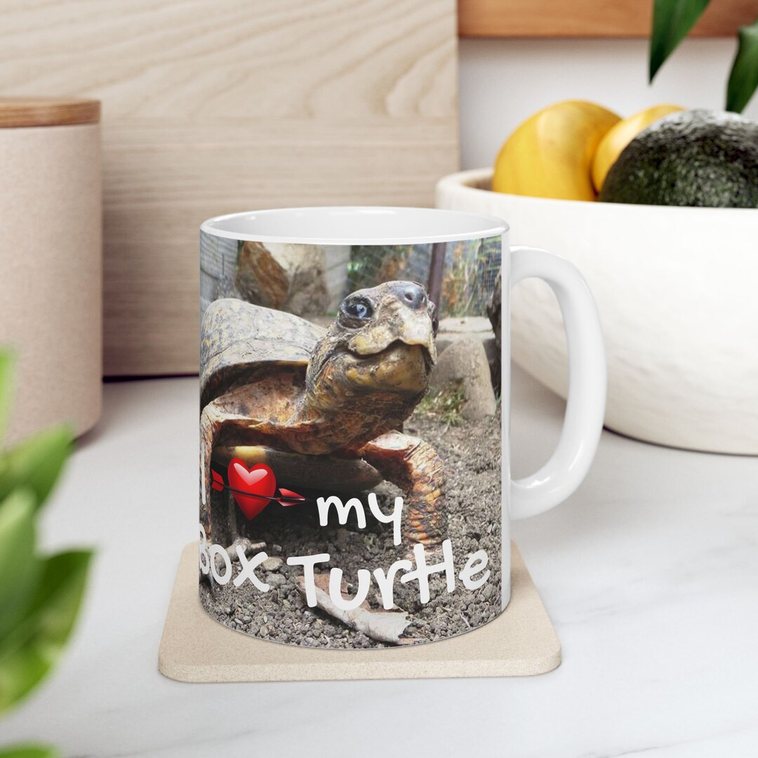 Adorable Smiling Box Turtle Ceramic Mug 11oz, Turtle Lover Collector ...
