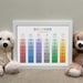 Chinese Mandarin Emotions Poster for Kids, Educational Print, Classroom ...