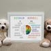 Chinese Mandarin Growth Mindset Poster for Kids, Classroom Decor ...
