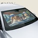 Cool Ducks Car Sun Shade, Windscreen UV Protection, Funny Auto ...