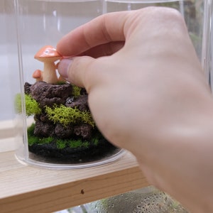 Mushroom Terrarium, DIY Terrarium Kit, At-at Miniature, Ecosphere ...