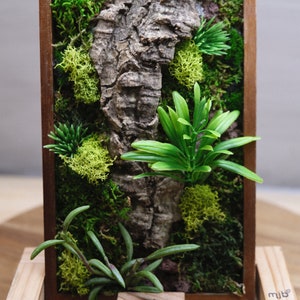Moss Arts, Diy Green Wall, Real Moss, Plant Decor Art, Nature Room ...