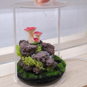 Mushroom Terrarium, DIY Terrarium Kit, At-at Miniature, Ecosphere ...
