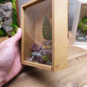 Miniature Cottage House, Terrarium Decor, Pre-assembled Kit, Moss ...