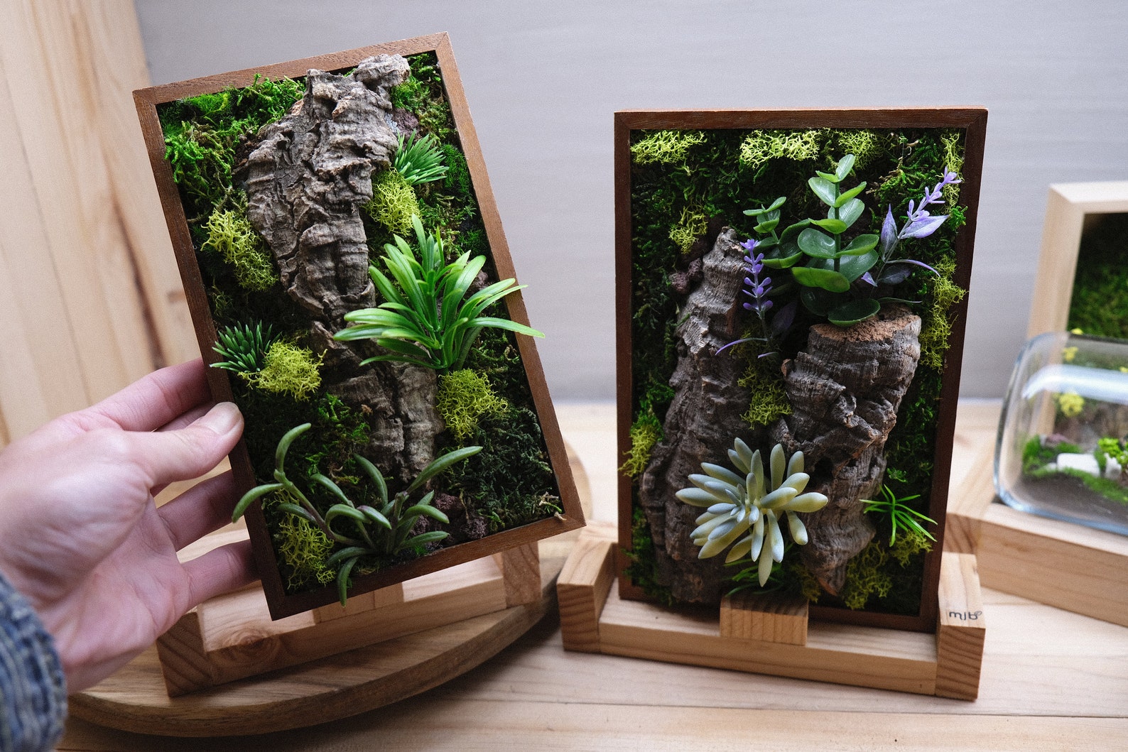 Moss Arts Diy Green Wall Real Moss Plant Decor Art Nature - Etsy