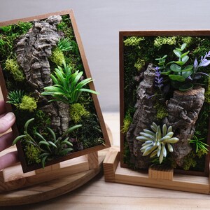 Moss Arts, Diy Green Wall, Real Moss, Plant Decor Art, Nature Room ...