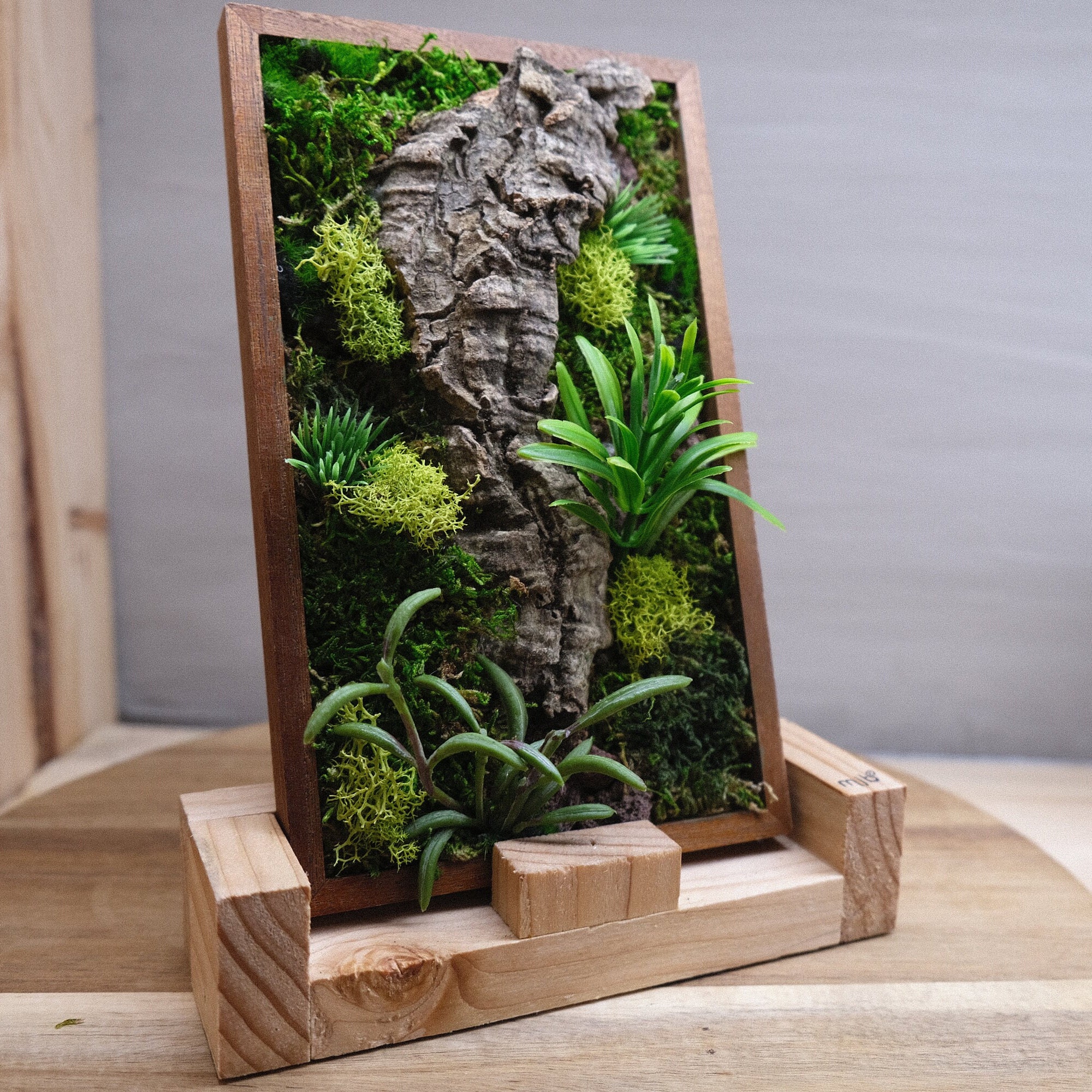 Moss Arts Diy Green Wall Real Moss Plant Decor Art Nature - Etsy