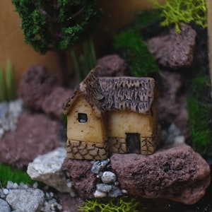 Miniature Cottage House, Terrarium Decor, Pre-assembled Kit, Moss ...