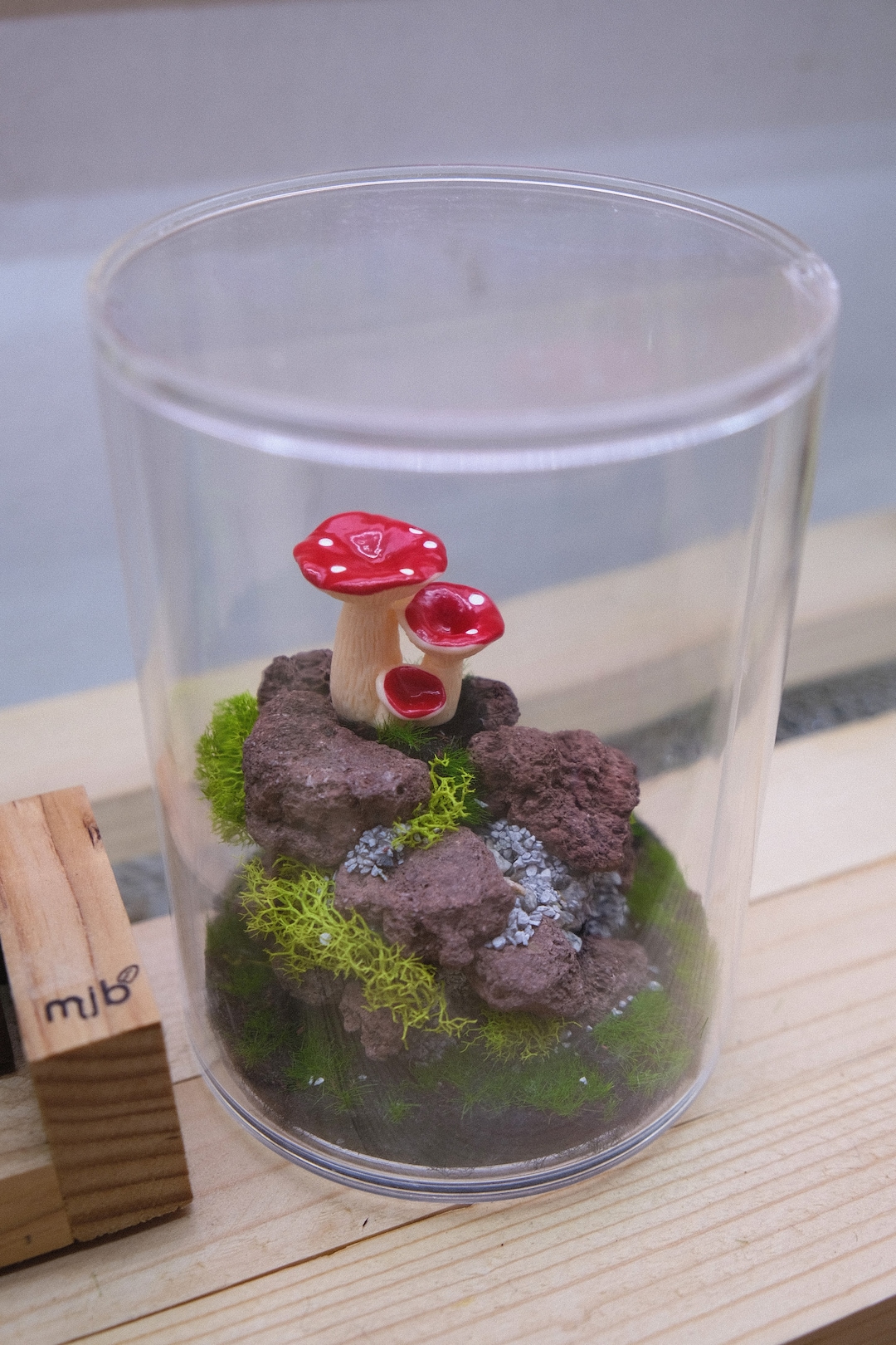 Mushroom Terrarium, DIY Terrarium Kit, At-at Miniature, Ecosphere ...