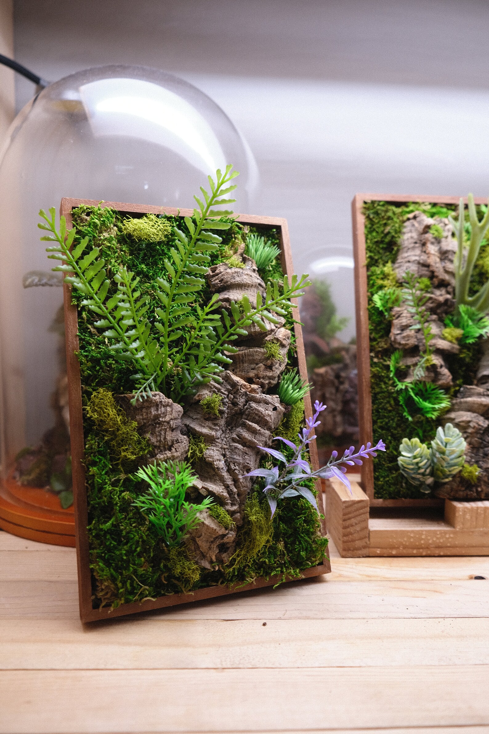 Wildflower Art Handmade Home Decor Moss Art Wall Real Moss Succulent ...