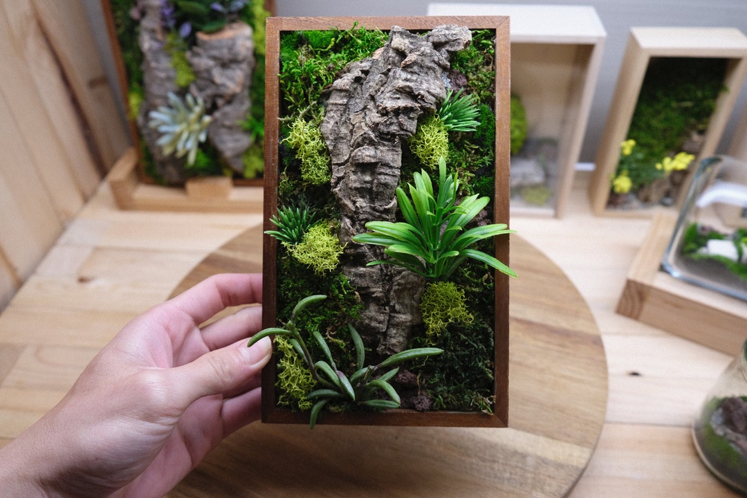 Moss Arts, Diy Green Wall, Real Moss, Plant Decor Art, Nature Room ...