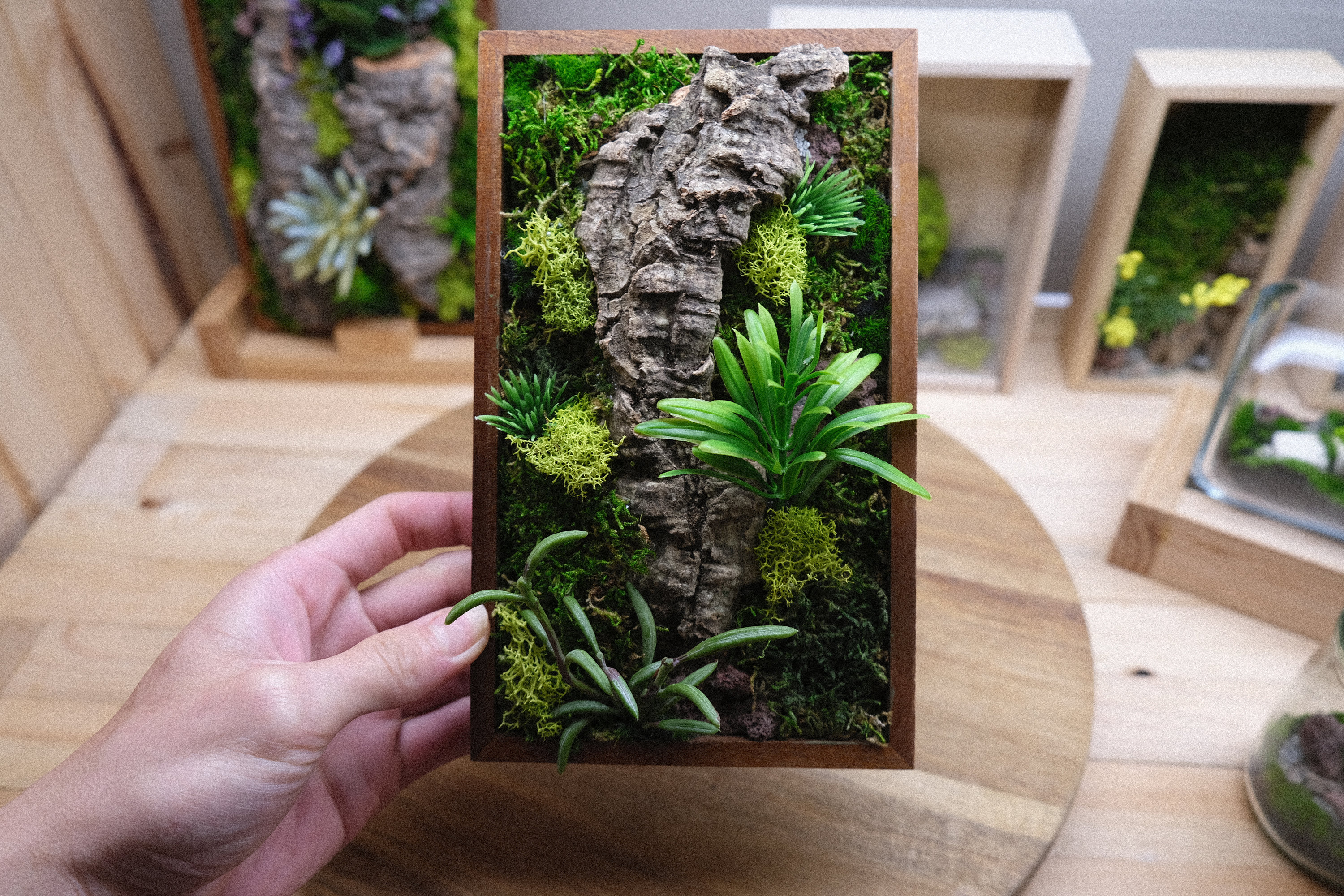 Moss Arts Diy Green Wall Real Moss Plant Decor Art Nature - Etsy
