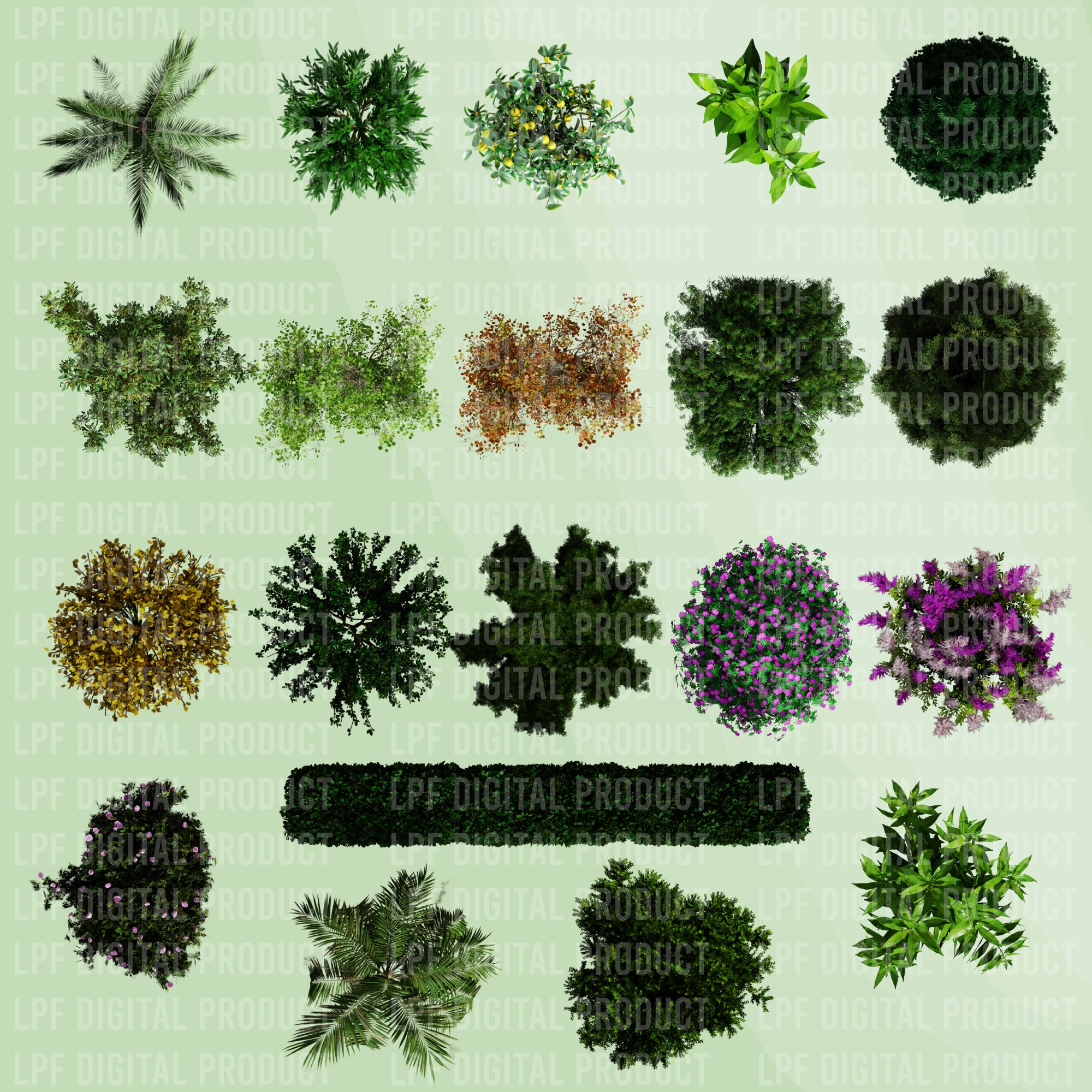 Trees in Plant PNG / Realistic Rendering / Architectural / Top Tree ...