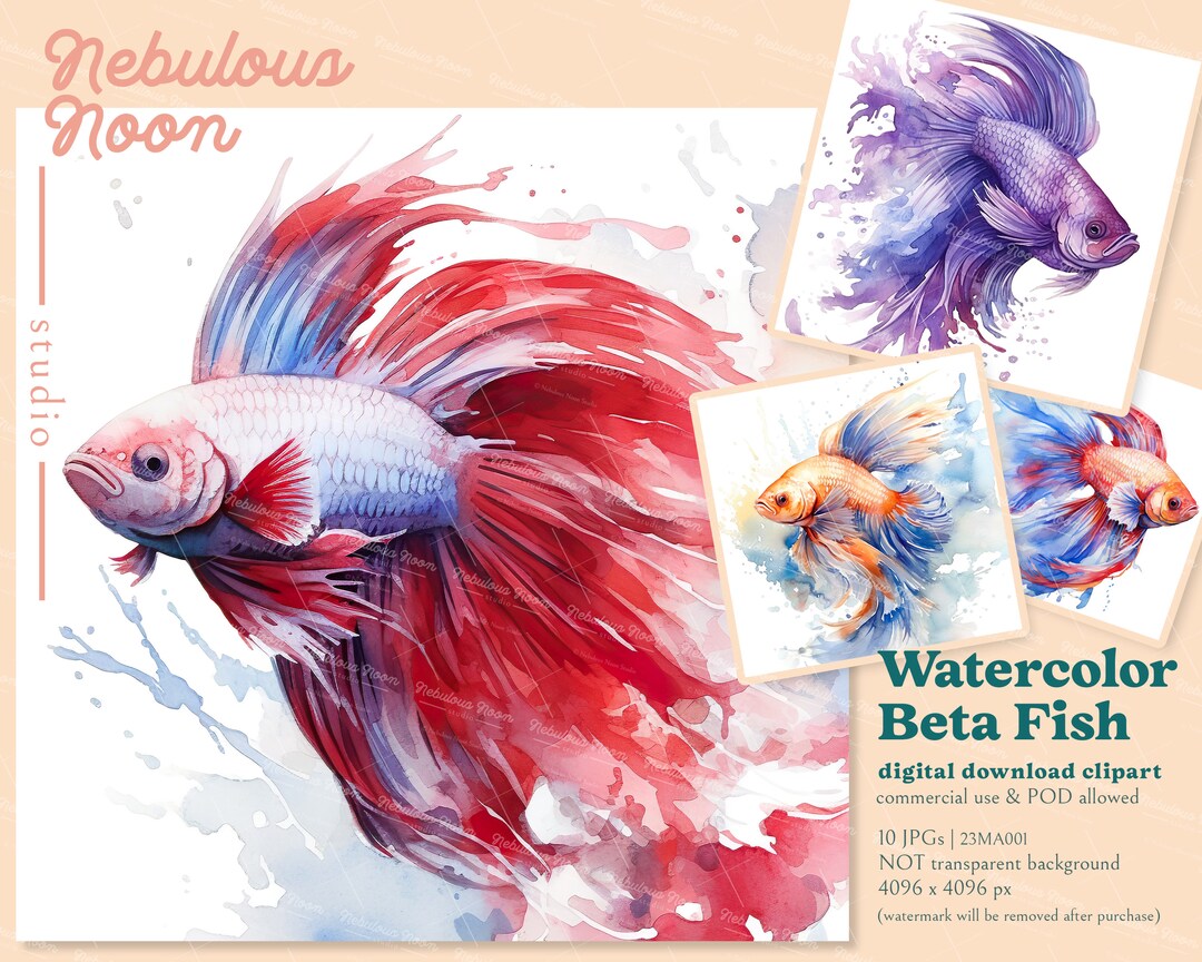 Watercolor Betta Fish 10 JPG Digital Paper Clipart Bundle 23MA001 ...