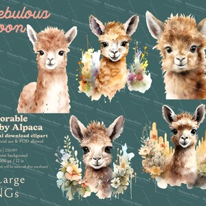 Adorable Baby Alpaca 5 PNG Animal Clipart Bundle 23JL005 | Llama ...