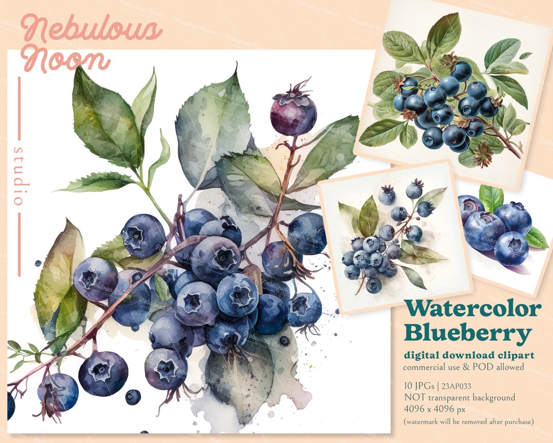 Watercolor Blueberry 10 JPG Fruit Clipart Bundle 23AP033 | Food ...