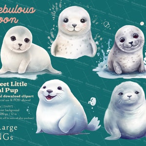 Sweet Little Seal Pup 5 PNG Cute Nursey Clipart Bundle 23AP052 | Sea ...