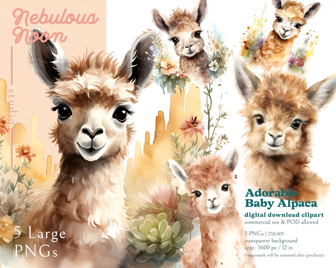 Adorable Baby Alpaca 5 PNG Animal Clipart Bundle 23JL005 | Llama ...
