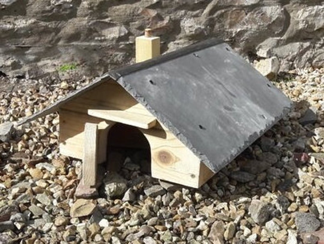 Hedgehog House With Nesting Area, Natural Slate Roof and Feature Door ...