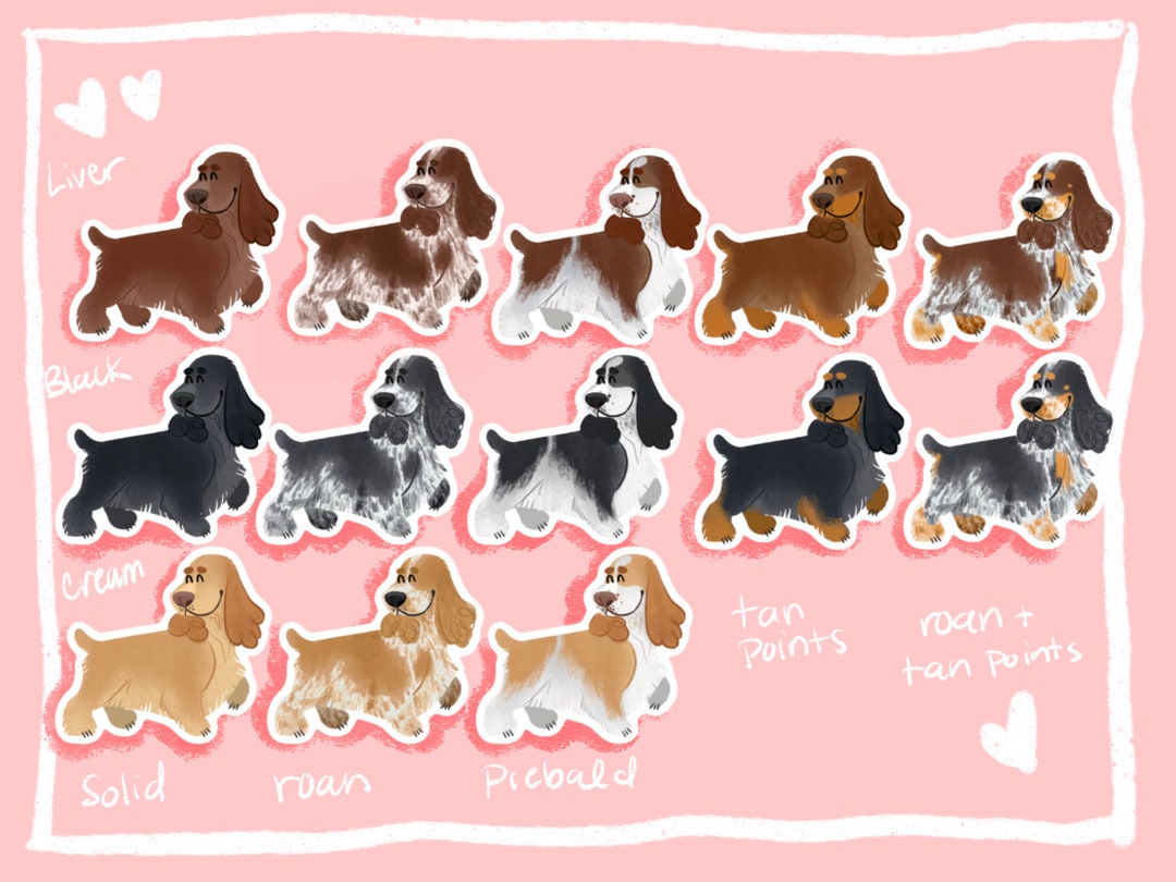 English Cocker Spaniels - Etsy