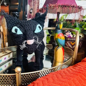 Custom Crochet Coraline Cat Wuss Puss - Etsy UK