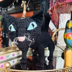 Custom Crochet Coraline Cat Wuss Puss - Etsy UK