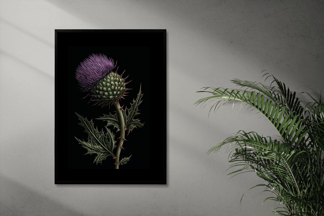 Scotch Thistle Sketch Printable Artwork for Instant Download - Etsy