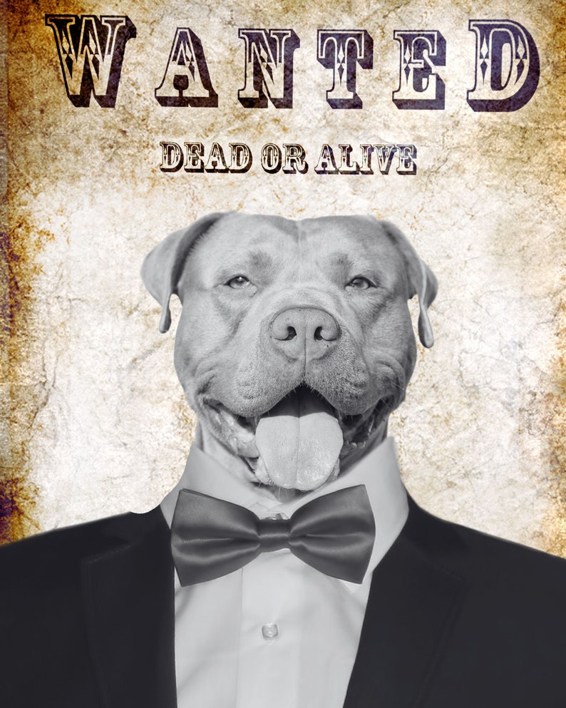 Western Wanted Poster-dogs Gang-digital Prints-wall Art-wild West ...