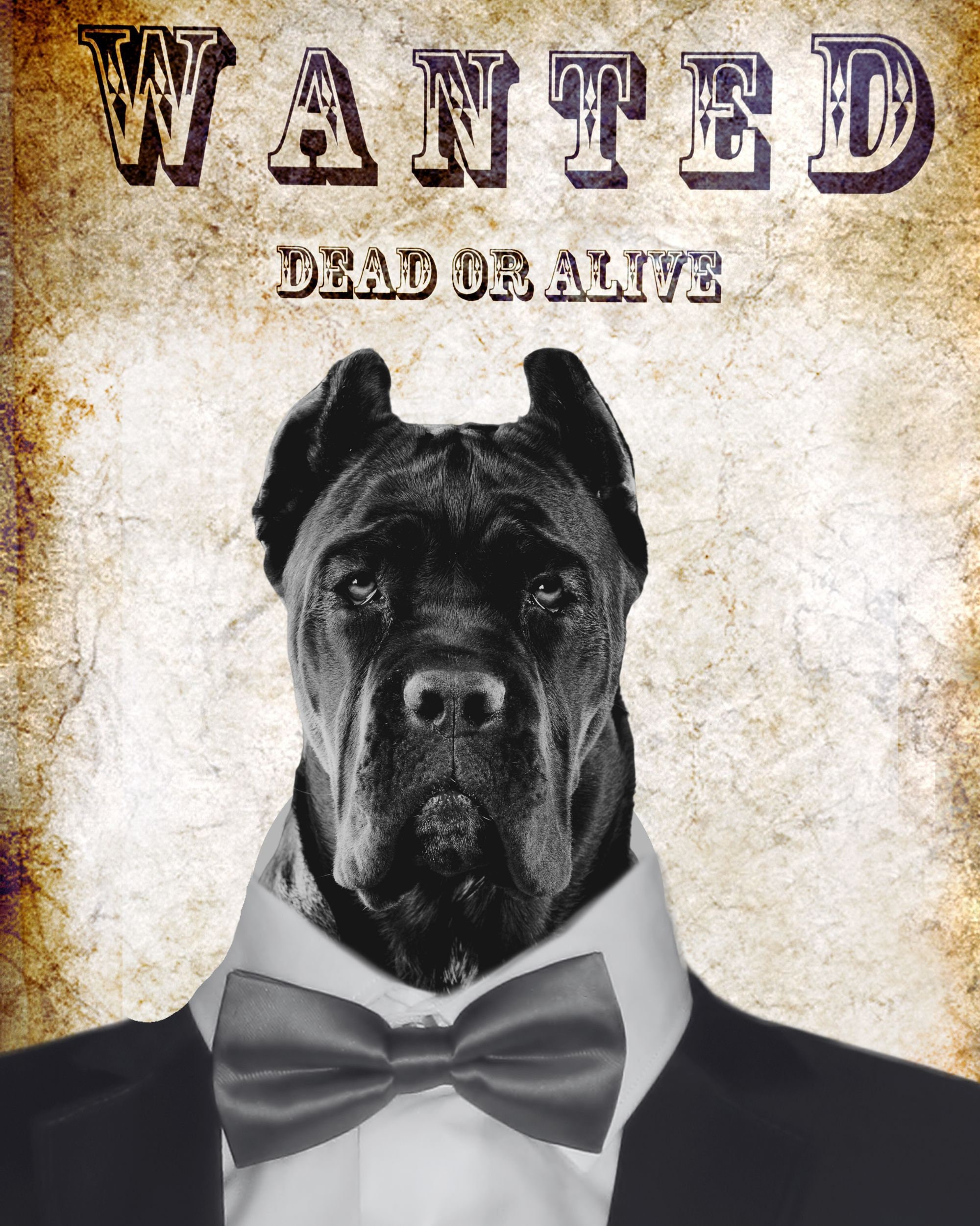 Western Wanted Poster-dogs Gang-digital Prints-wall Art-wild West ...