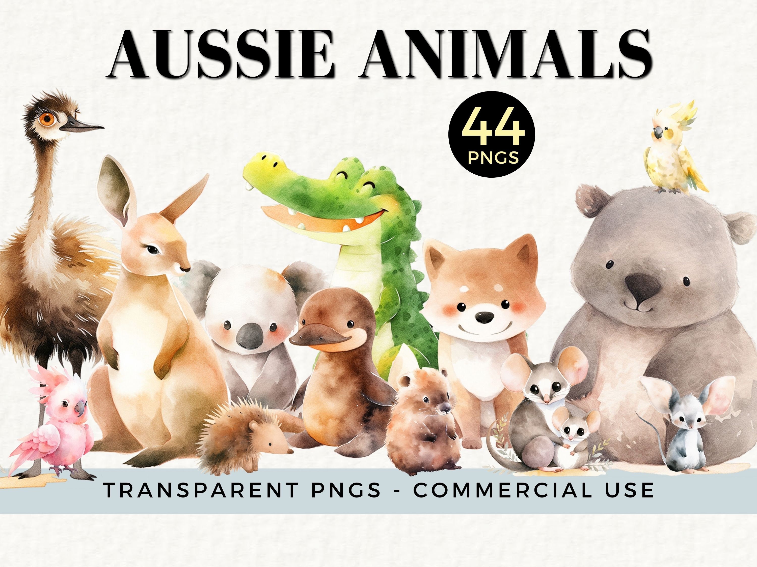 Australian Animal Clipart, Watercolor, PNG Files, Koala Clipart ...